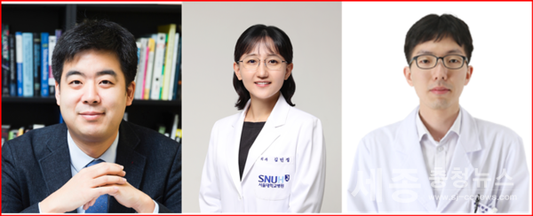 KAIST, ‘정크 DNA’가 노화와 발암에 관여하다